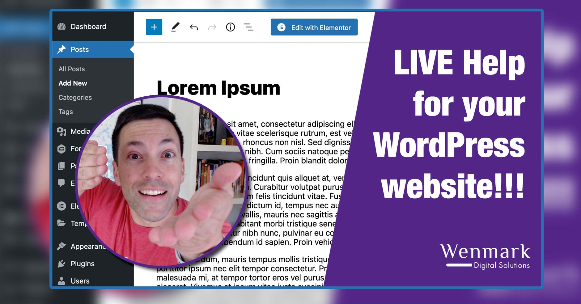 Get WordPress Help - Wenmark Digital Solutions LLC